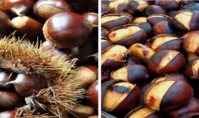 EL DIA DE LAS CASTAÑAS - NuFruit